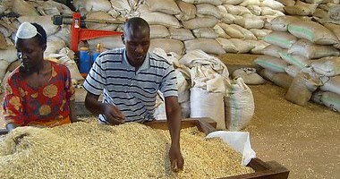 Omnibus Consulting LLC:2004760: How To Make Millions of Dollars From ...