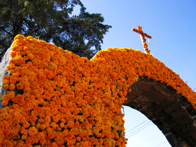Where Can You Find the Land of the Dead in 'Coco'?