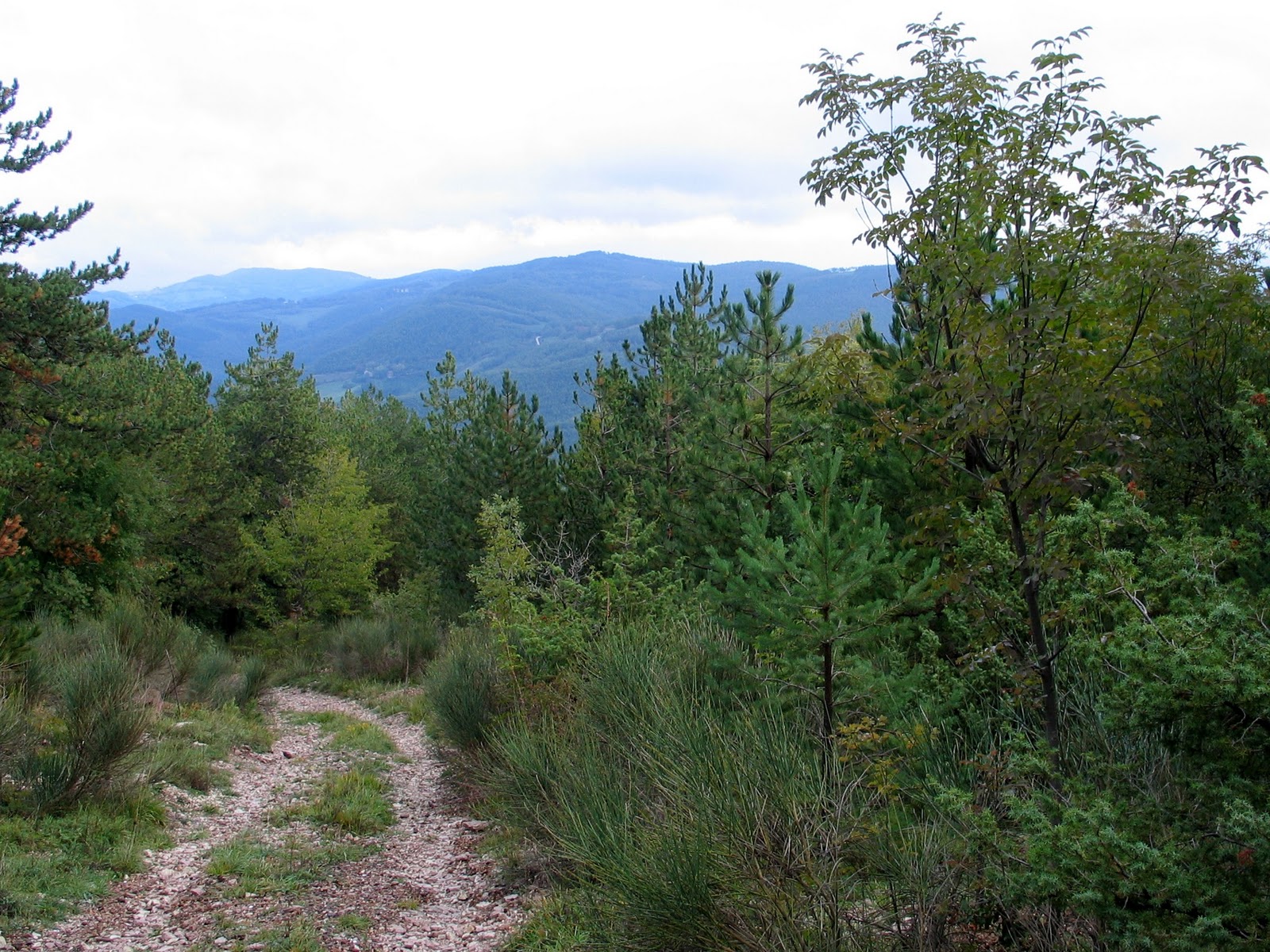 50 Hikes In and Around Tuscany: Hikes of the Adriatic Side of the Apennines