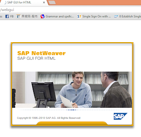 SAP Basis For Beginner: Introduction and how to configure SAP Web GUI