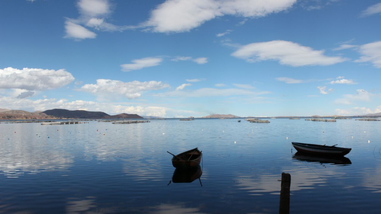 distrito de Arapa: ASPECTO GEOGRÁFICO