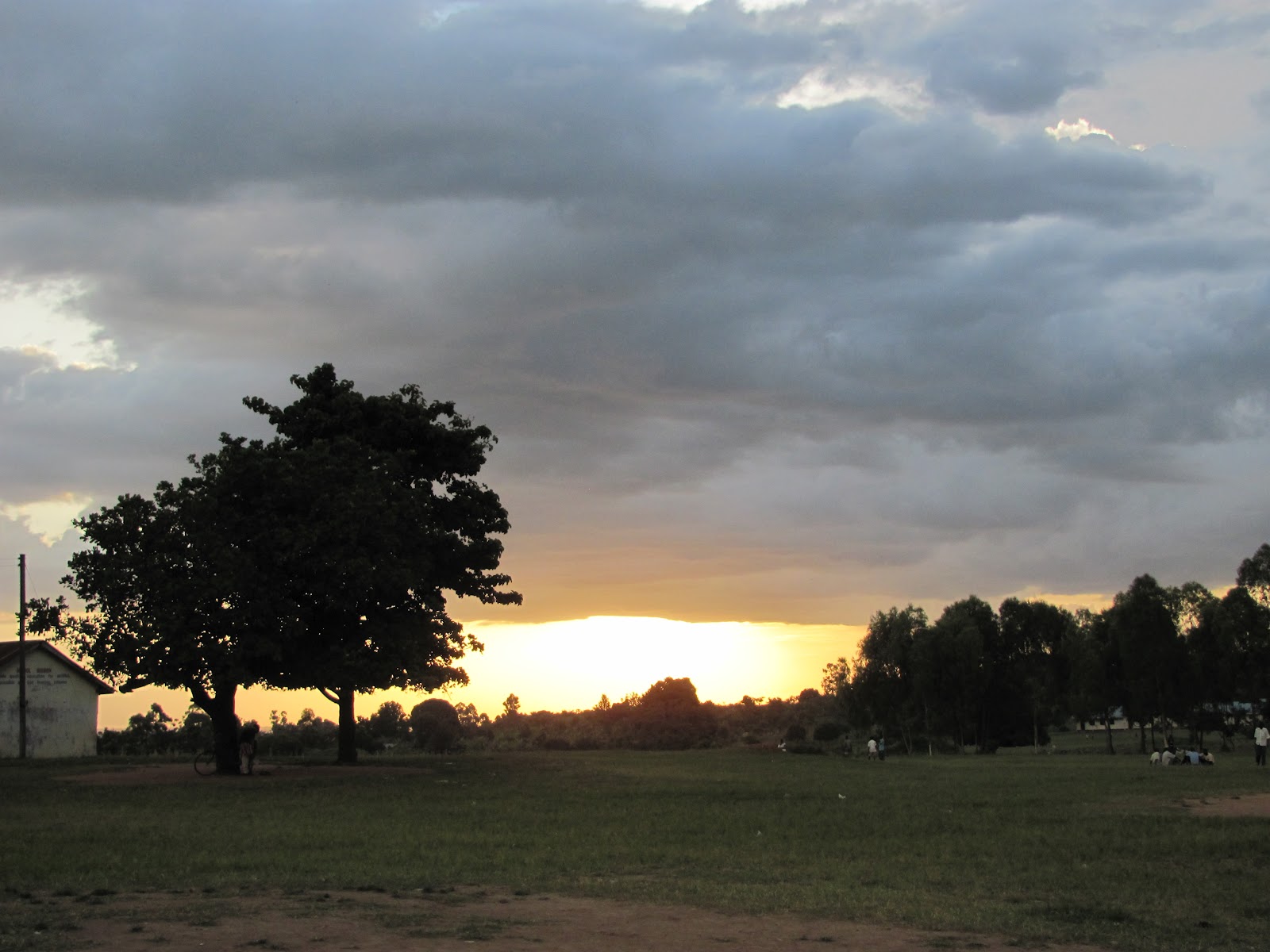 The Chronicles of my Journey as a Peace Corps "Mzungu"