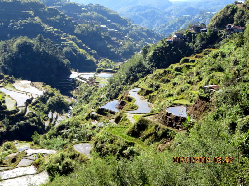 Les Philippines 2014 : BANAUE - PULA - CAMBULO : 31.01.14