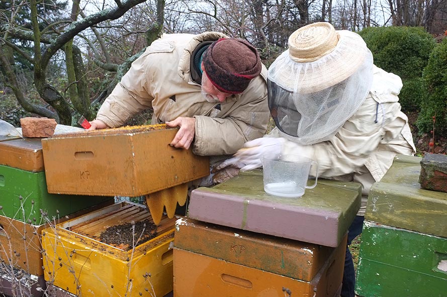 Shtepia e bletes Marku: Bletet dhe trajtimi me medikamente të ndryshme