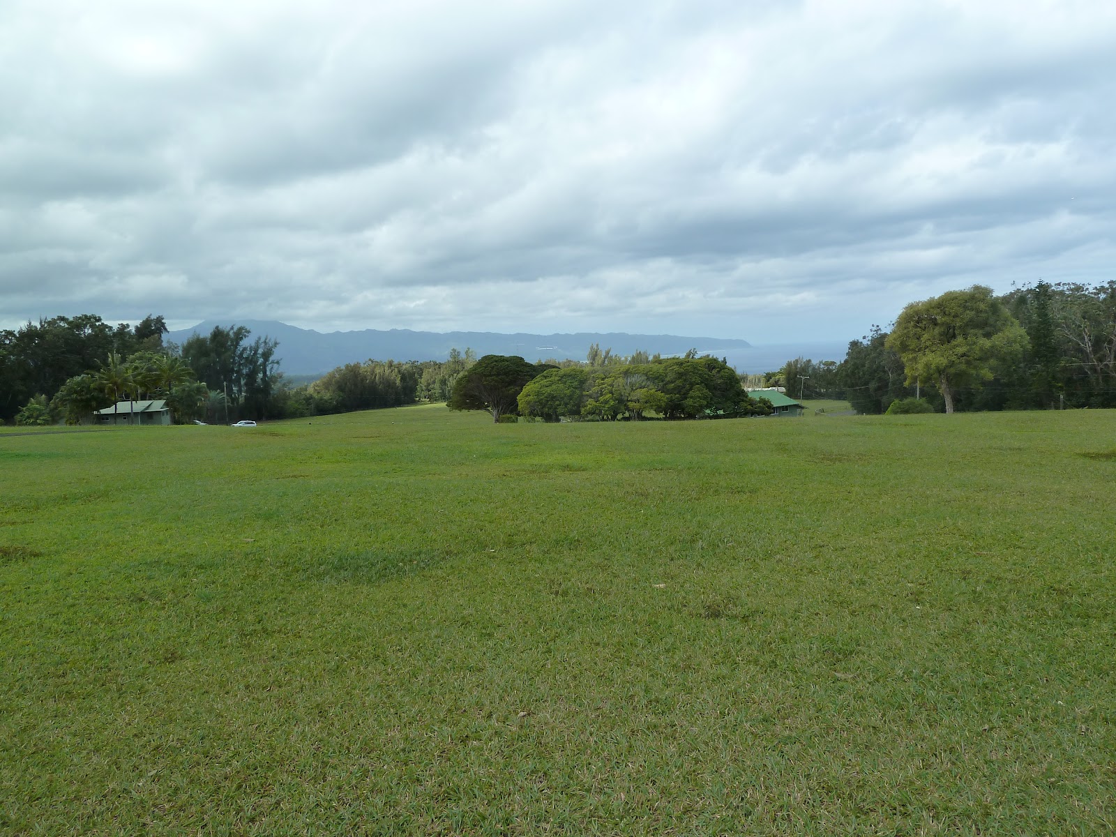 akira53: Wedding Planning: Venue Reviews