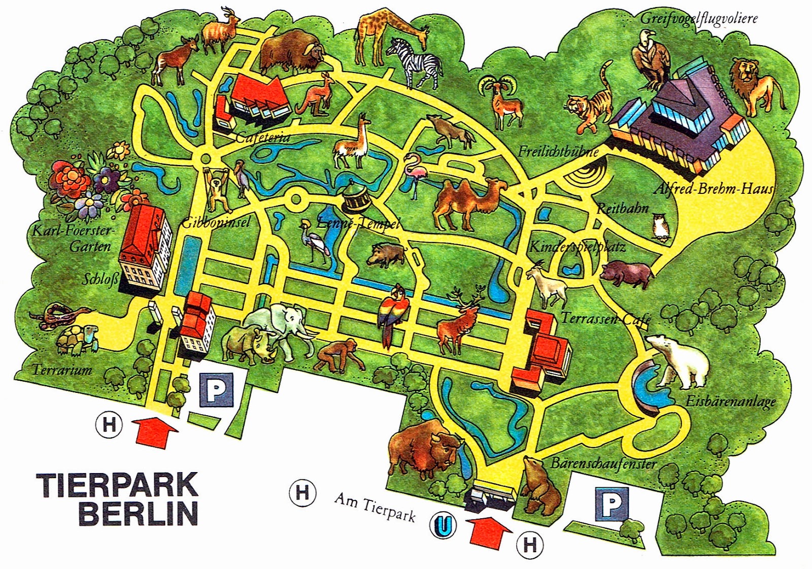 Tierpark Berlin Friedrichsfelde- Meine Liebe und Zoo Berlin: 60 Jahre ...