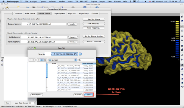 Neuroimaging Made Easy : Brainvoyager QX tips and tricks 1; Some ...