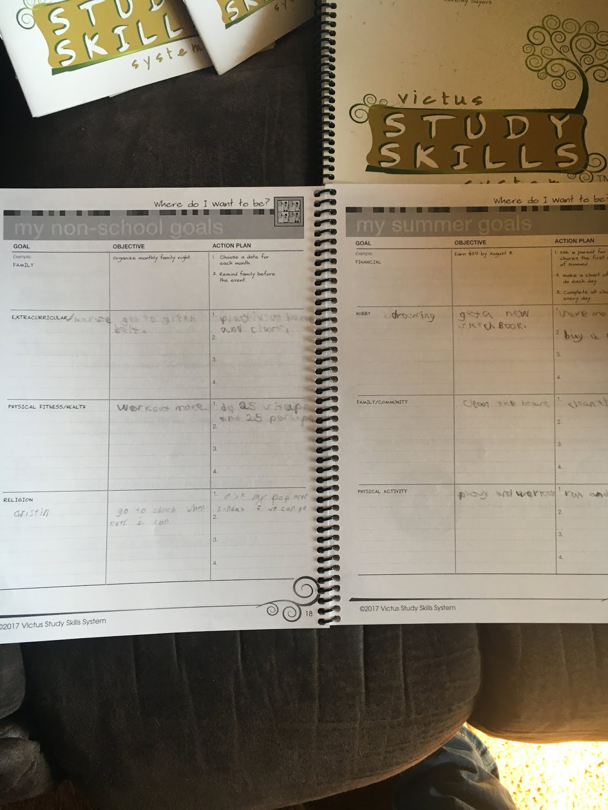 Little Bits of Life: Victus Study Skills System Review