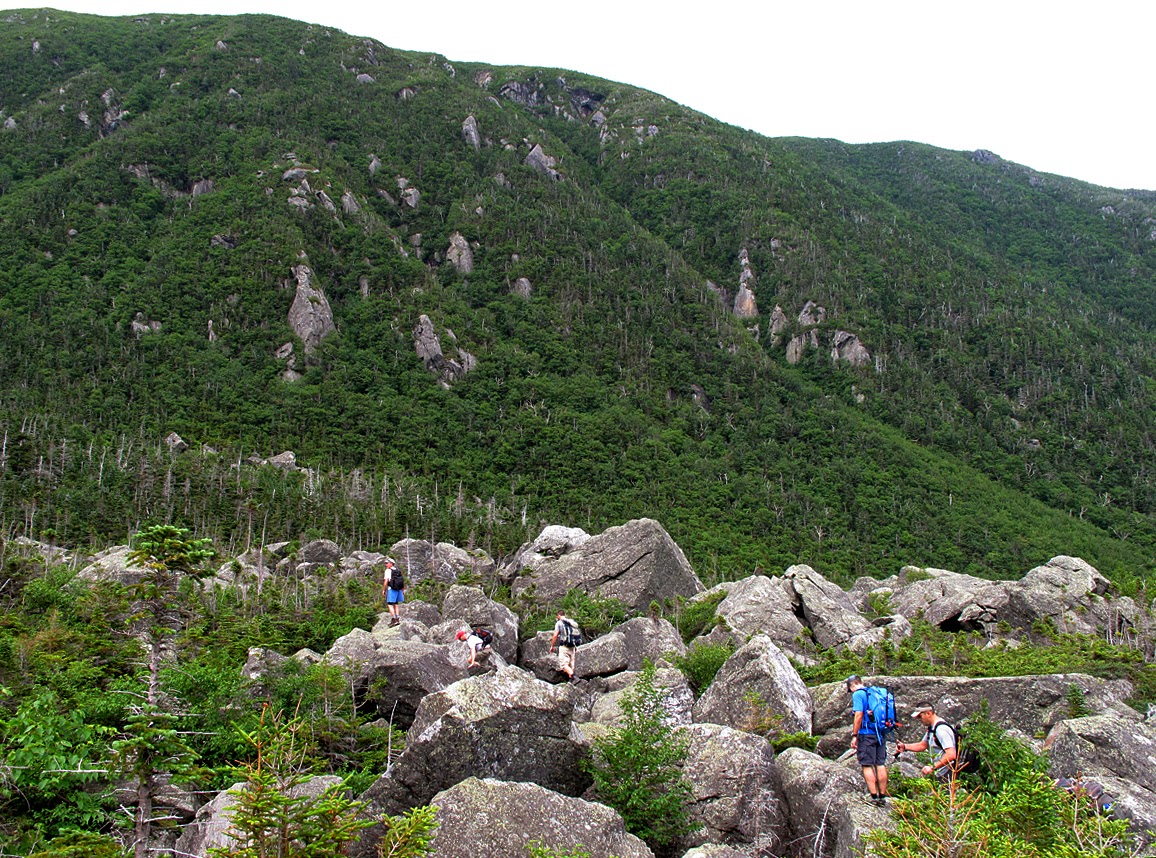 White Mountain Sojourn: 7-26-14 Mt. Adams, King Ravine
