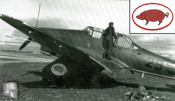 AMO DEL CASTILLO: Curiosidades: Stukas en España