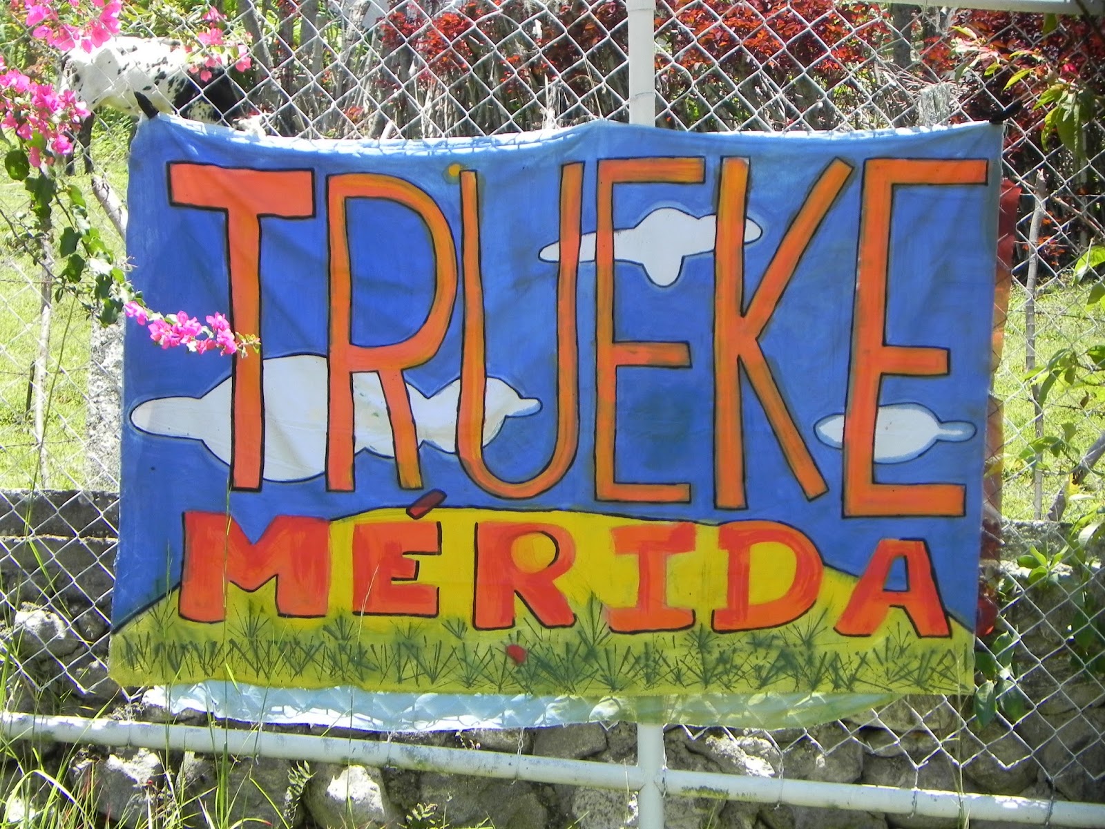 Infocentros Mérida: SISTEMA DE TRUEKE MERIDEÑO