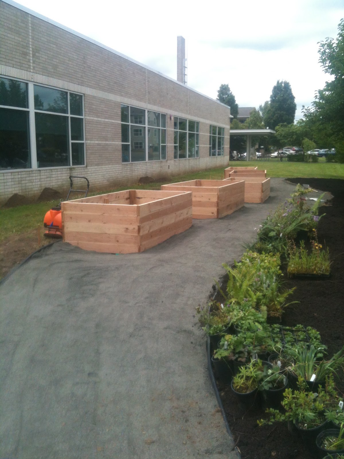 IRCO's Intergenerational Community Garden