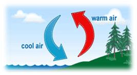 Convection: Everyday examples of Convection- Sea and land breezes