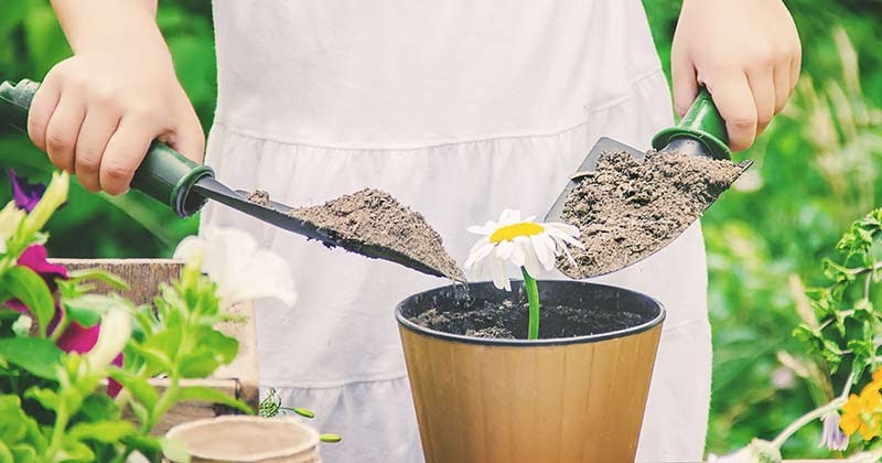 How to Help Bees in Your Backyard and Beyond | Sunny Day Family