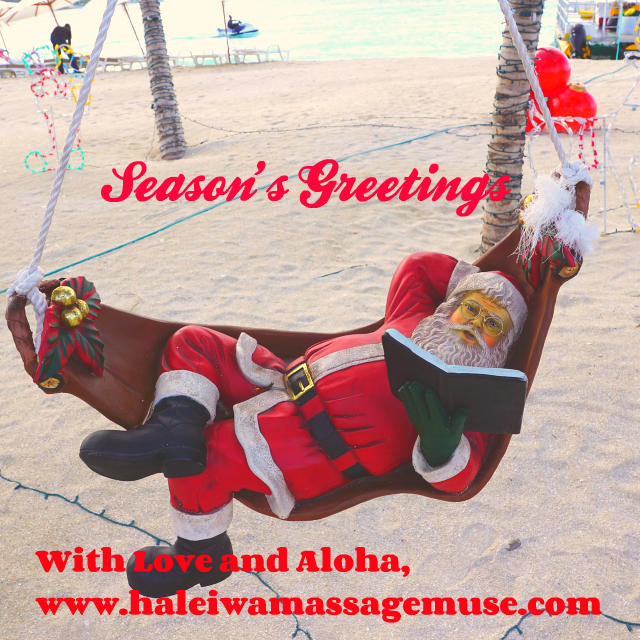Achieve and Believe LLC: Happy holidays from the North Shore of Oahu