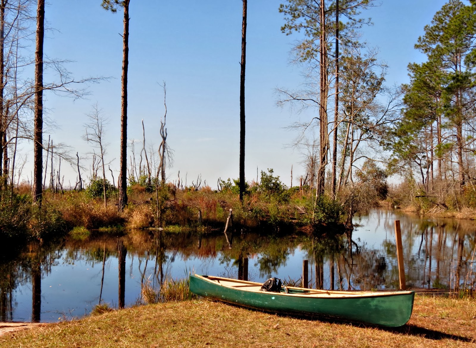 Adventures of a Vagabond Volunteer: Early Christmas Gifts from ...