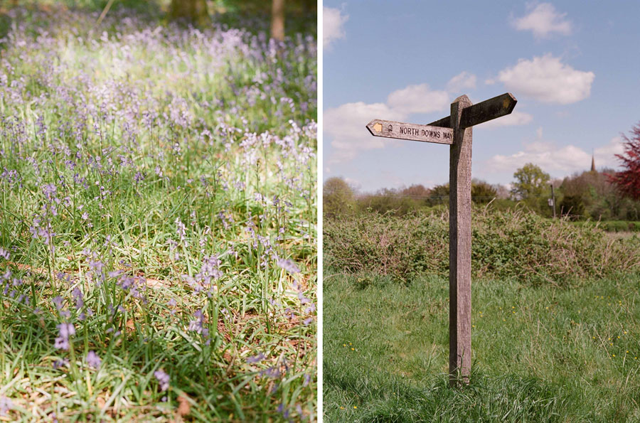 Vanessa Jackman: Weekend Life....A Walk in the English Countryside (Surrey)