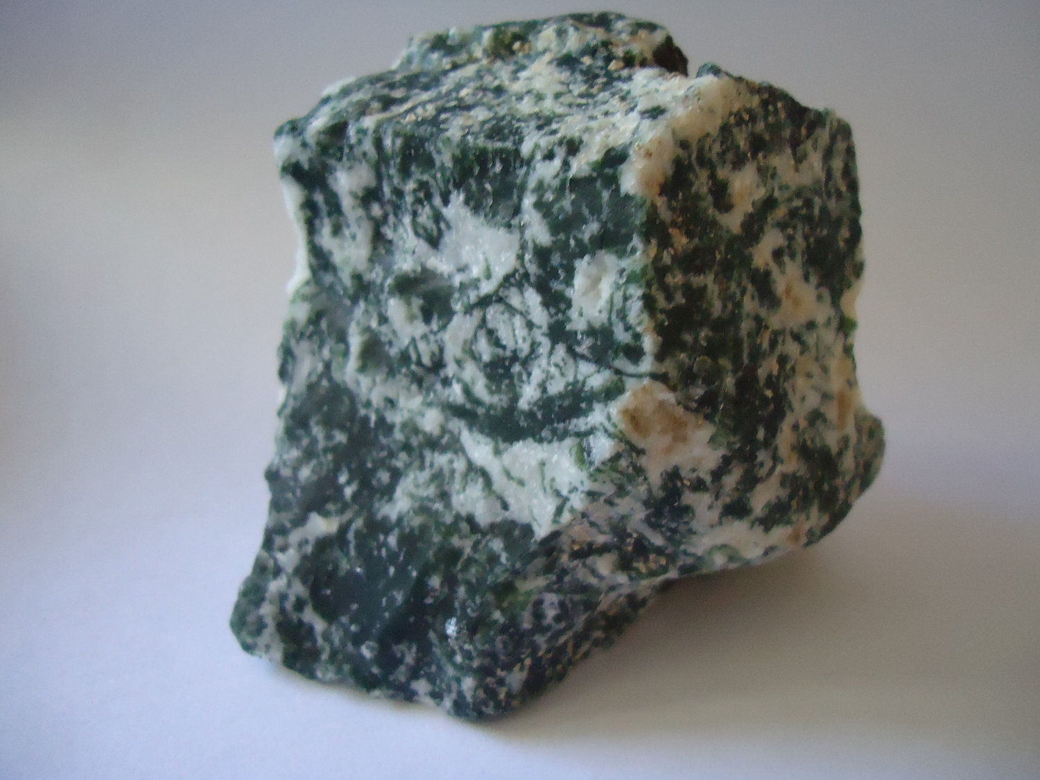 *Ornate Oriental* ~ Because we love gemstones too.: Tree Agate Gemstone ...