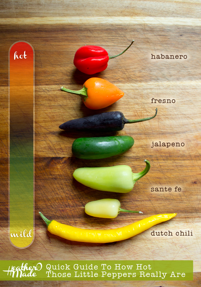 Heather O Made: Hot Pepper Guide