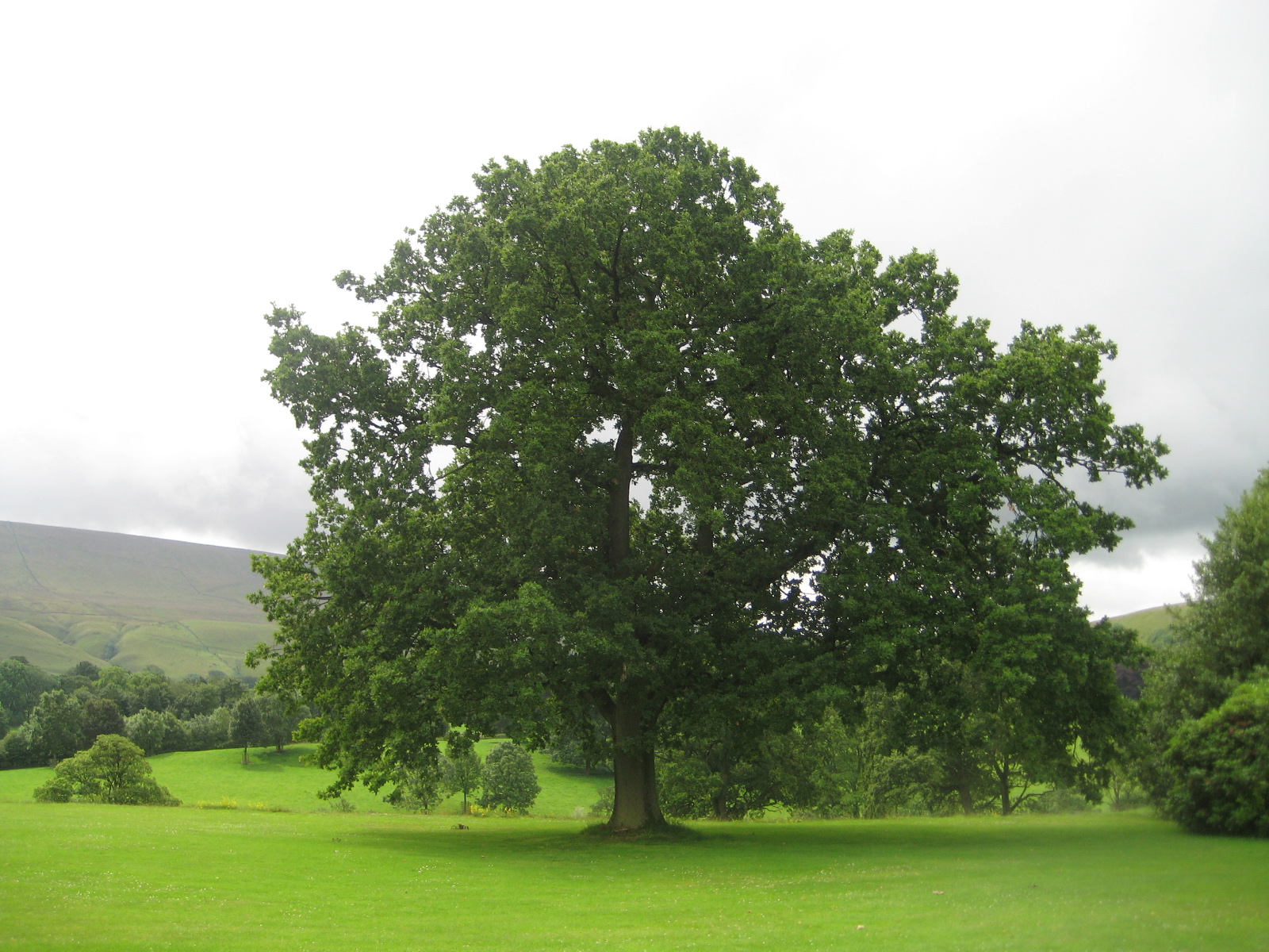 Postcards from Preston: Lord and Lady Clitheroe