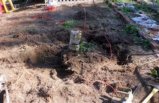 Georgia Home Garden: Garden Expansion and How to Remove a Tree Stump ...