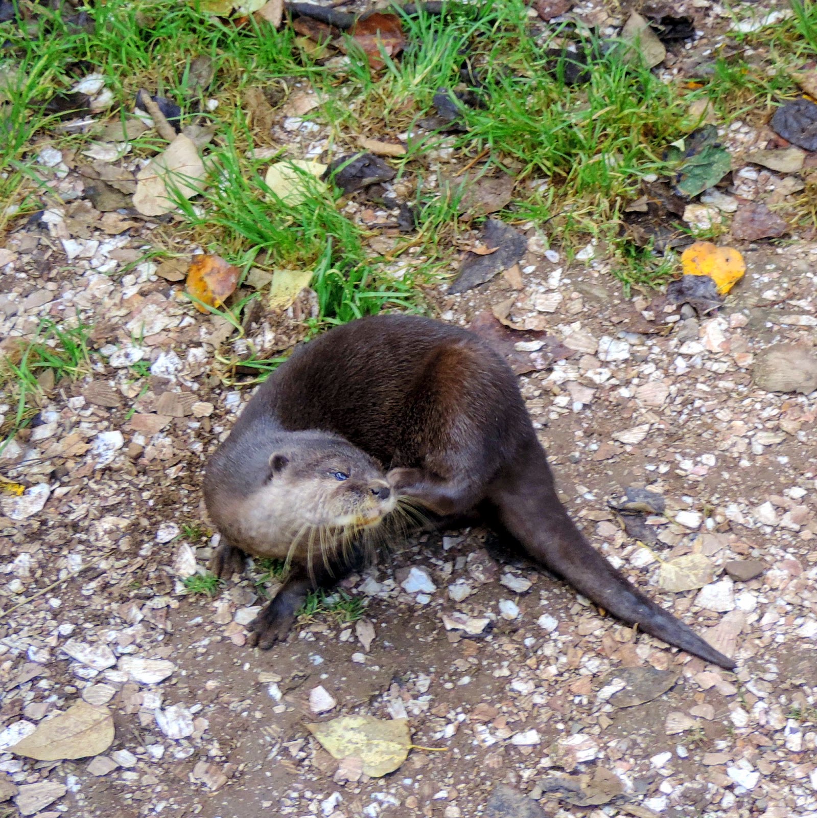 The Glebe Blog: 09/2014