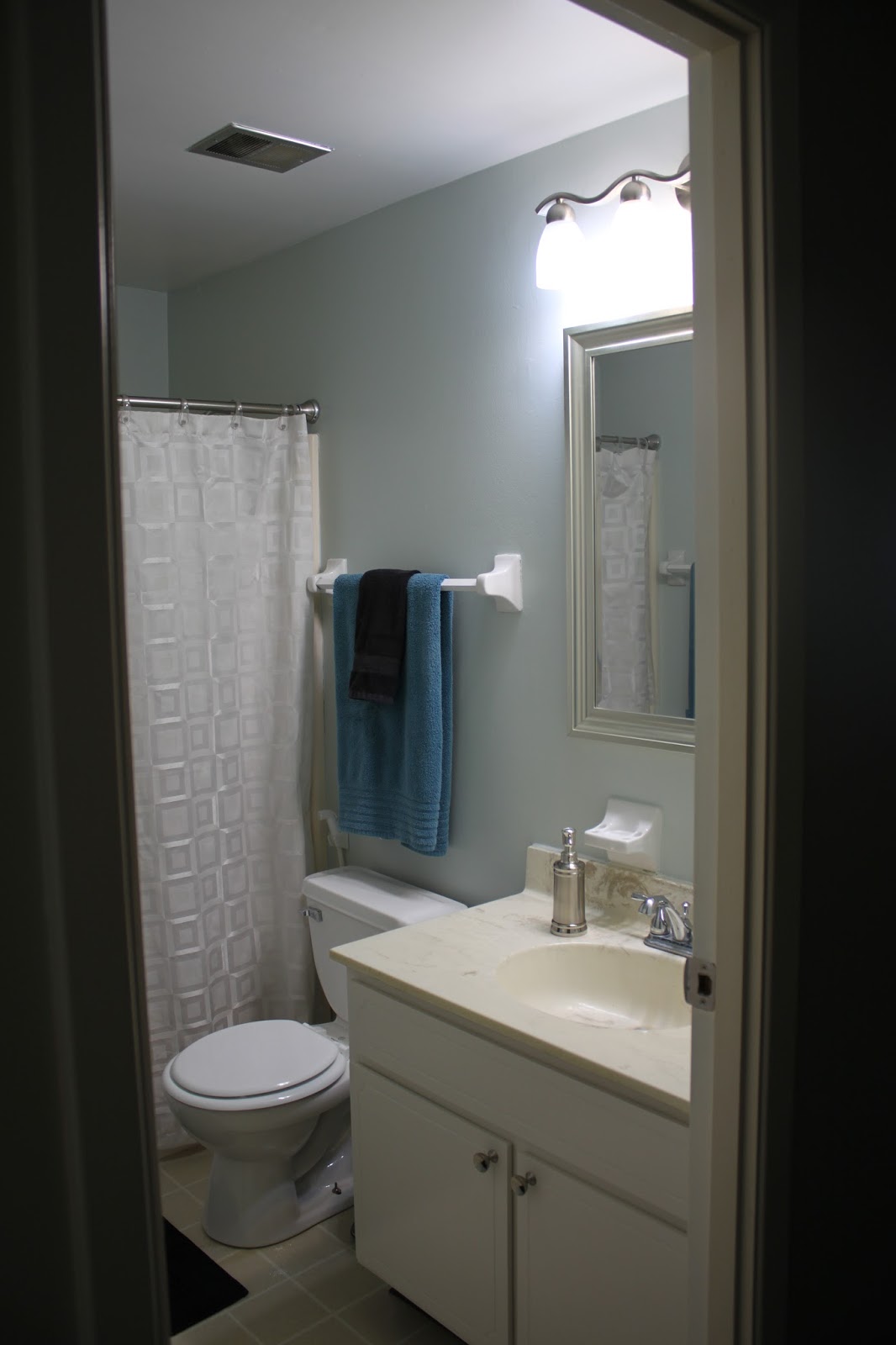 Oh What a Gem!: Bathroom Reno for under $250