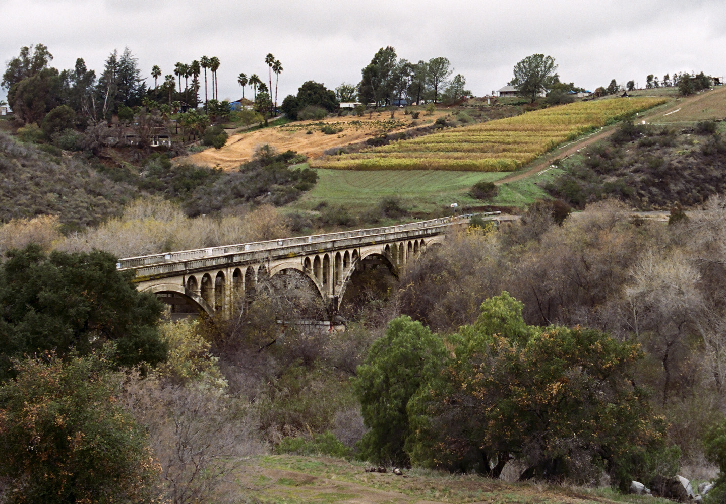 Blue Heron Blast: Blast reader's photos - 2017