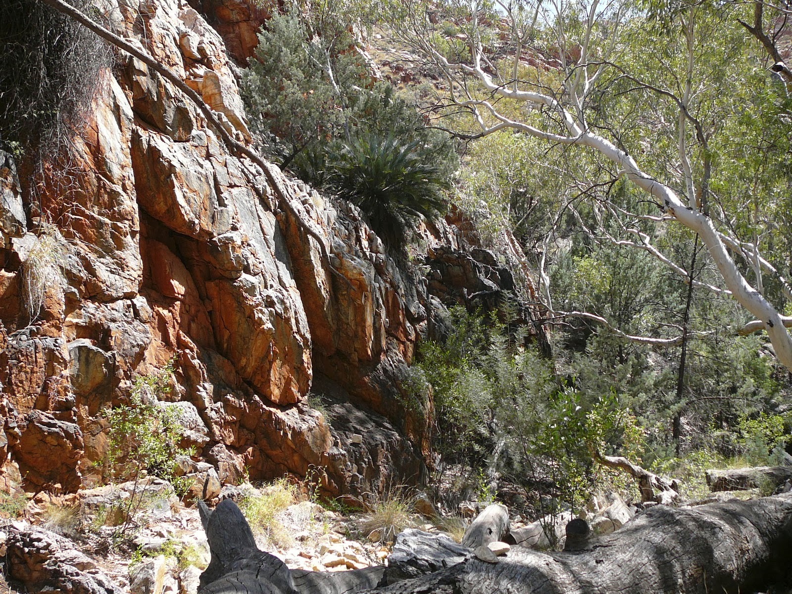 Where in the World are Robert and Cherryl?: Spectacular Standley Chasm