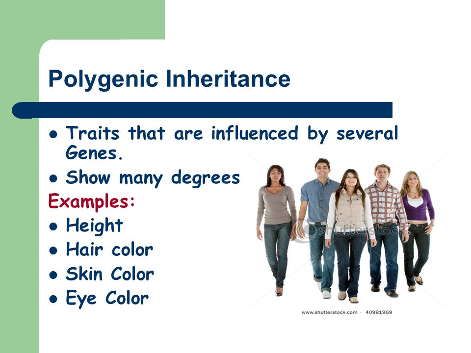 EXAMS AND ME : Polygenic Score