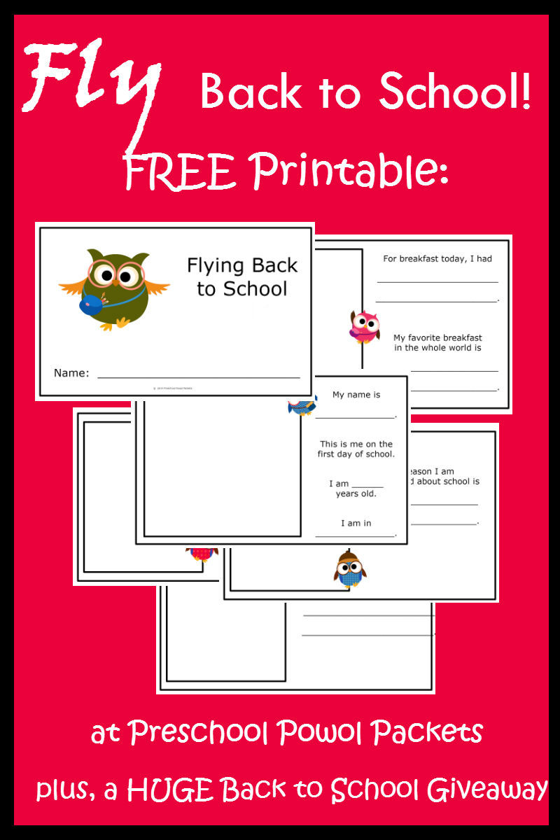Fly Into the School Year With Owls!! Back to School Fun! | Preschool ...