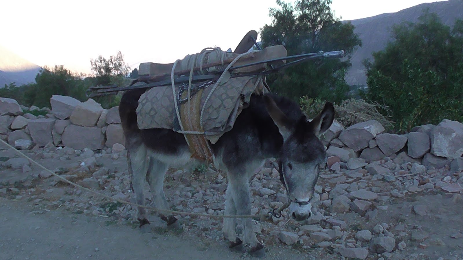 PLATOS TÍPICOS DE CHUQUIBAMBA
