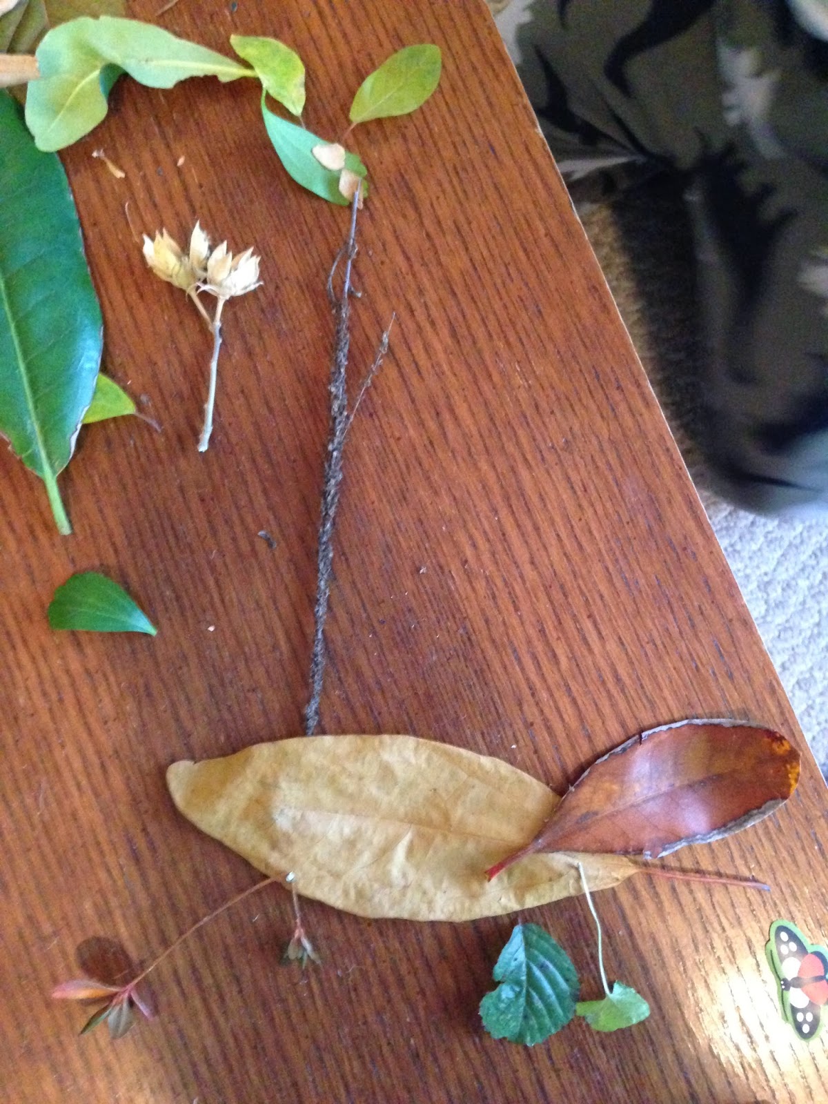 365 Great Children's Books: Day 220: Leaf Man