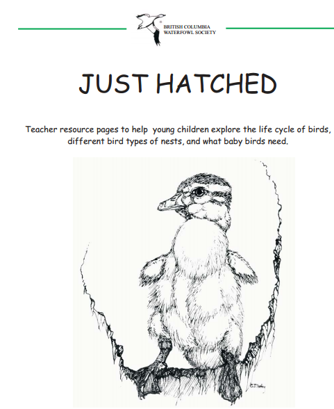 Spring Book 4: Make Way for Ducklings - Mom Envy