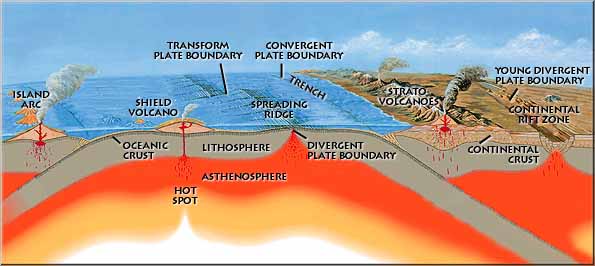 Moving Along with Plate Tectonics