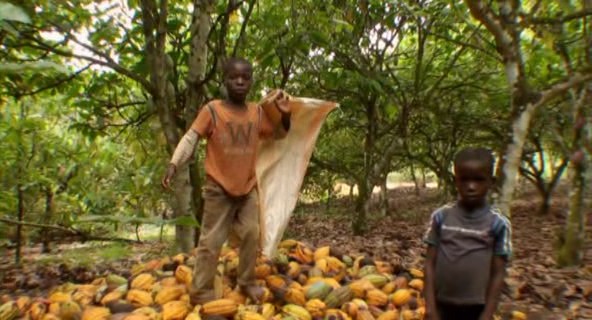 Delta Central: Темная сторона шоколада / The Dark Side of Chocolate (д ...