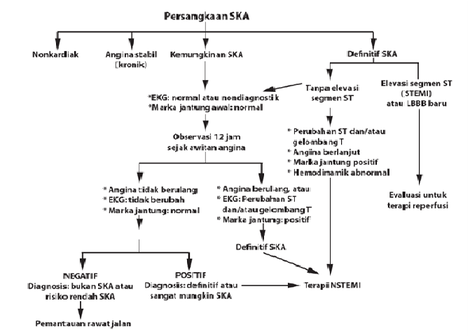 PEDOMAN TATALAKSANA SINDROM KORONER AKUT PERKI 2015 - 3 ~ Panduan ...