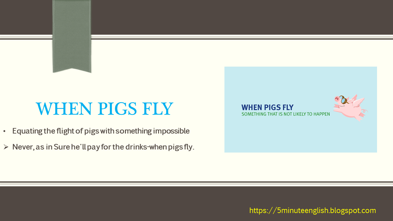 Top 10 Idioms : When pigs fly