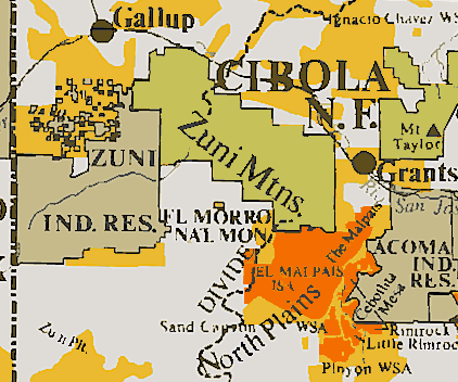 Your Destiny is Stone Golden: We're going to New Mexico Sweeties