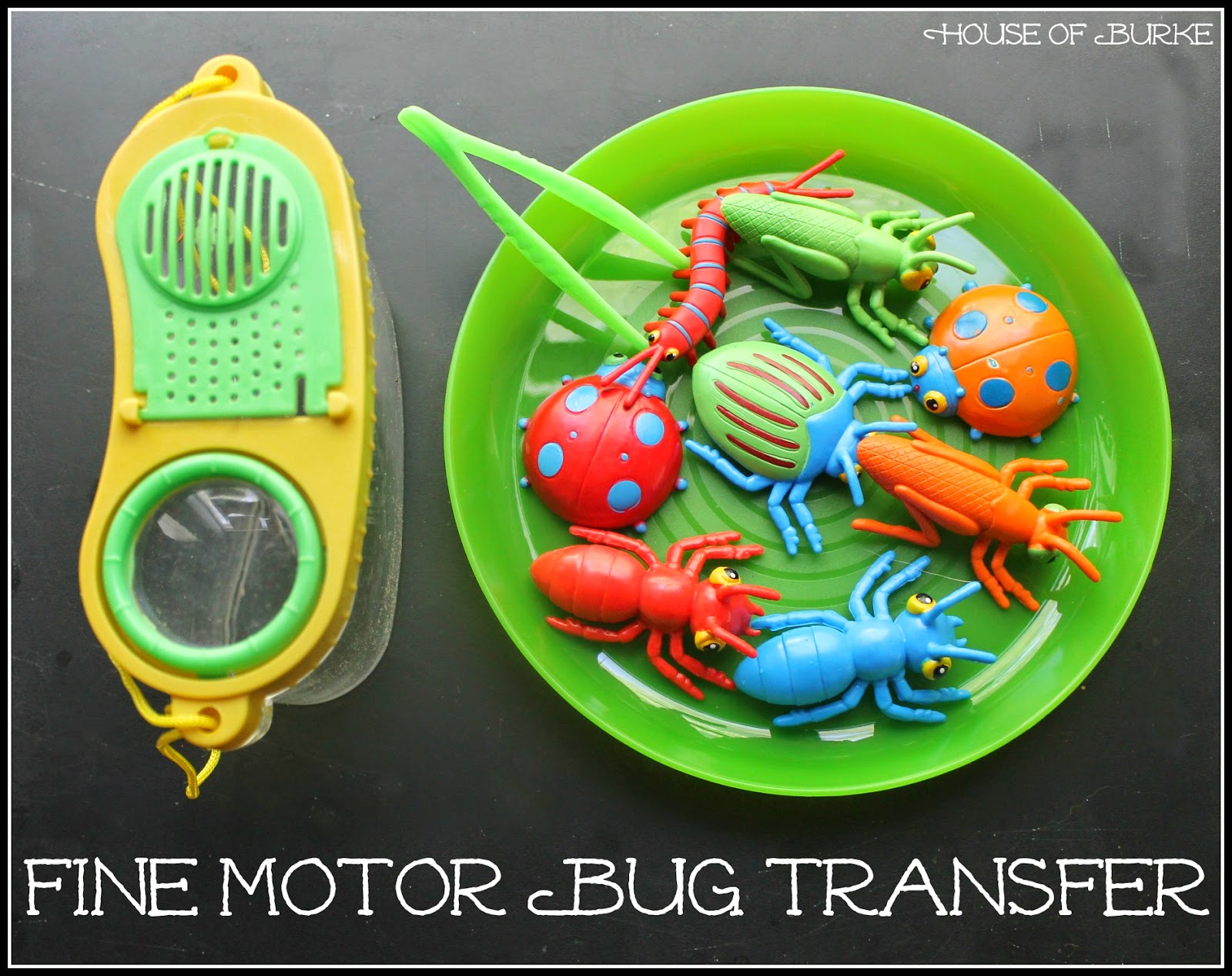House of Burke: Fine Motor Bug Transfer