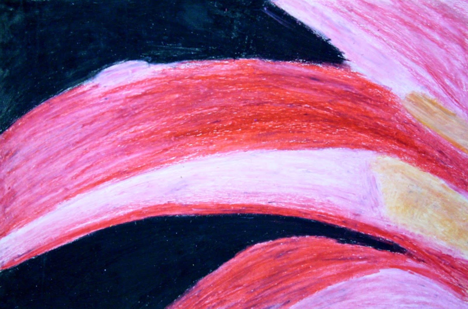 the art classroom: Abstracted Flowers (Intermediate Art - O'Keeffe ...