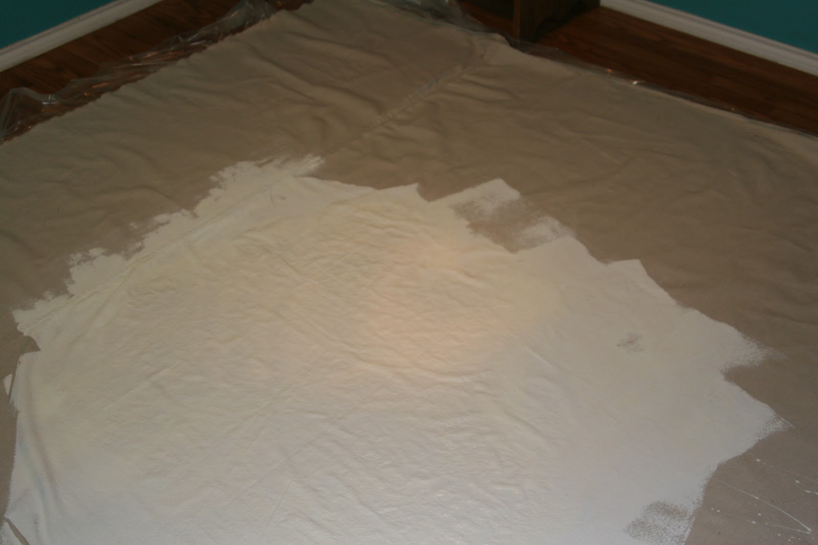 Janette's Sage: What is a Floor Cloth?