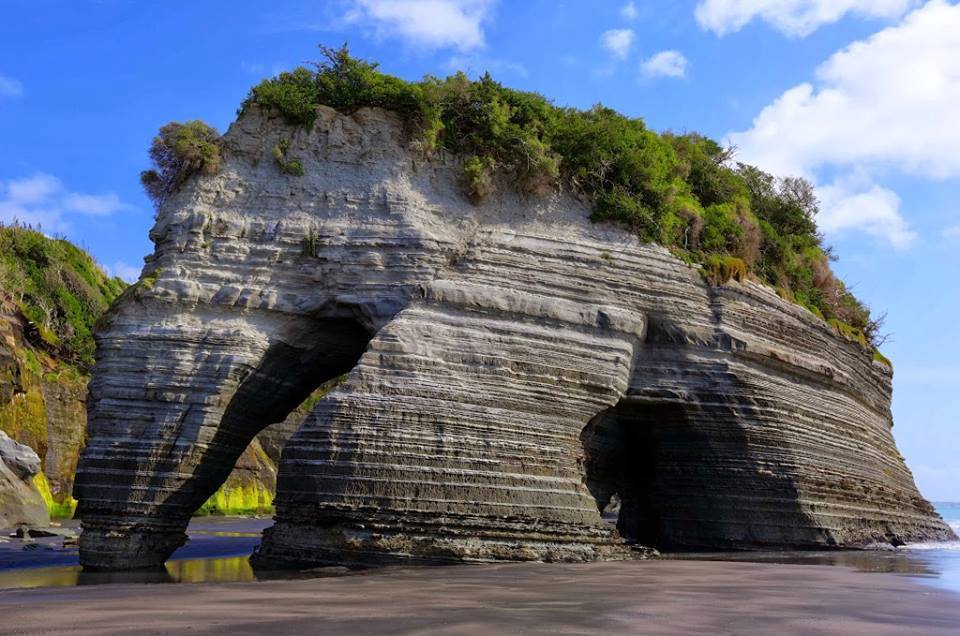 Pulau Zou One Piece Terbaru 2015 ~ Aicenemy Blog