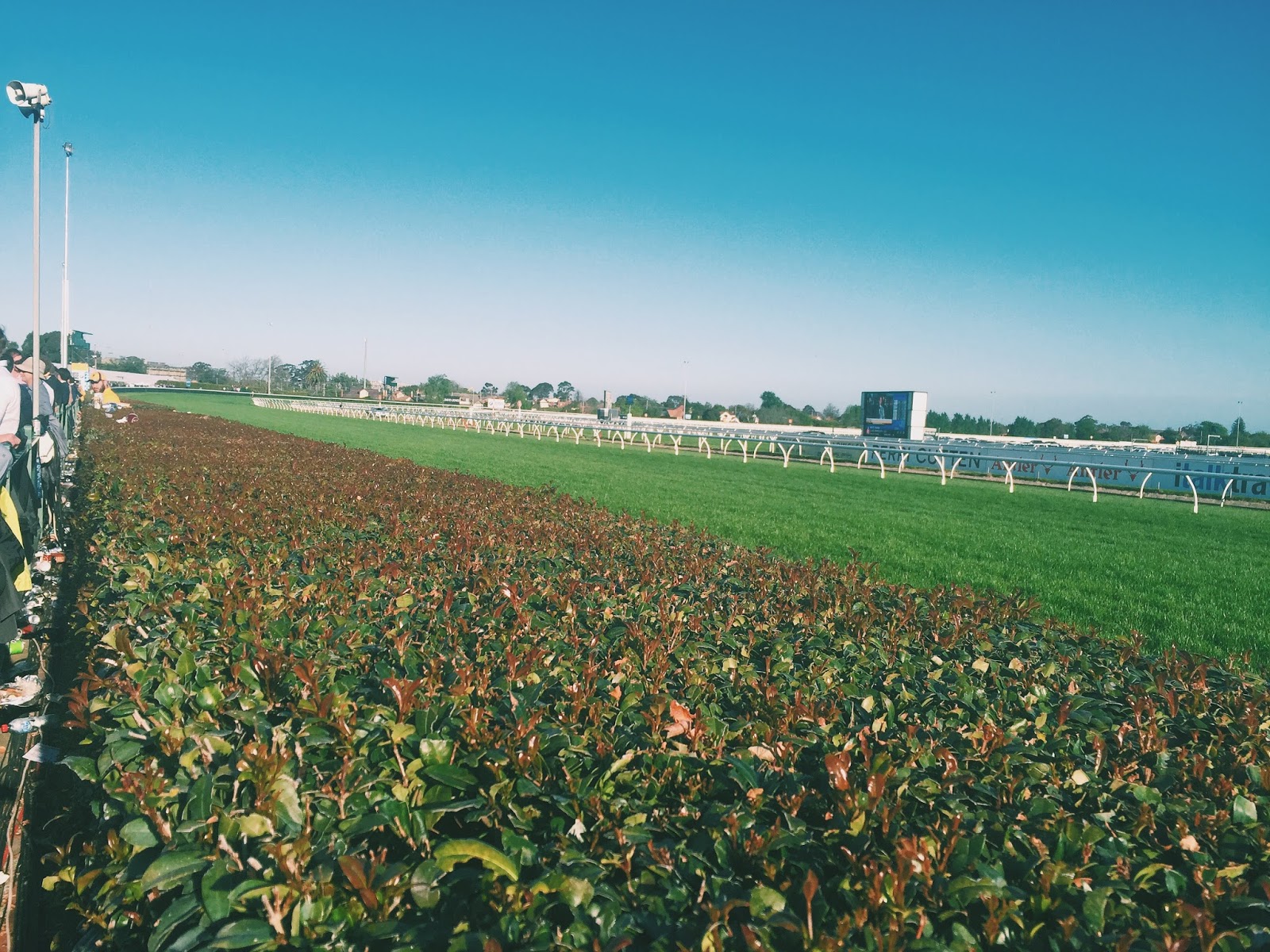 Off to the Races // Butterick B6094 | Holly Rose Vintage