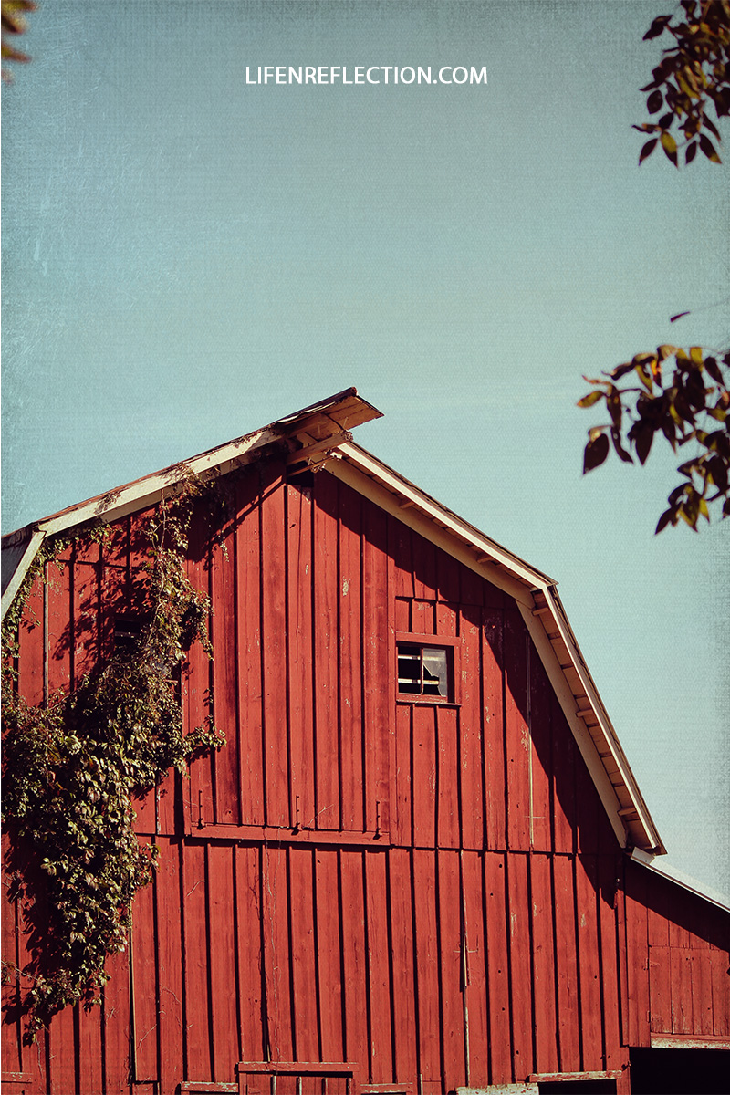 Barn Red: Texture Twist | Life-n-Reflection