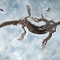 FANTASY: IL CERESIOSAURUS