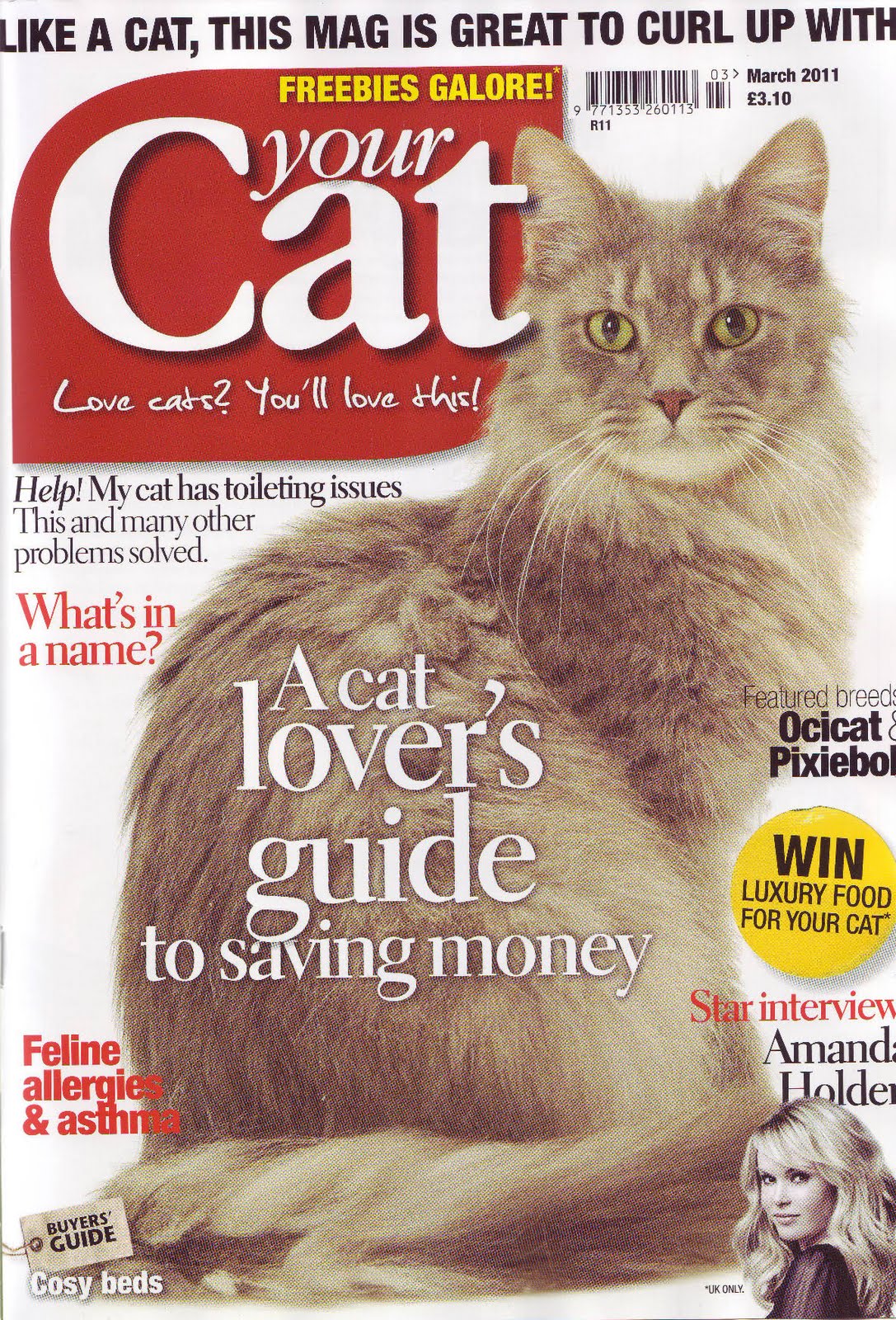 Your Cat Magazine