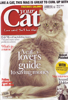 Your Cat Magazine