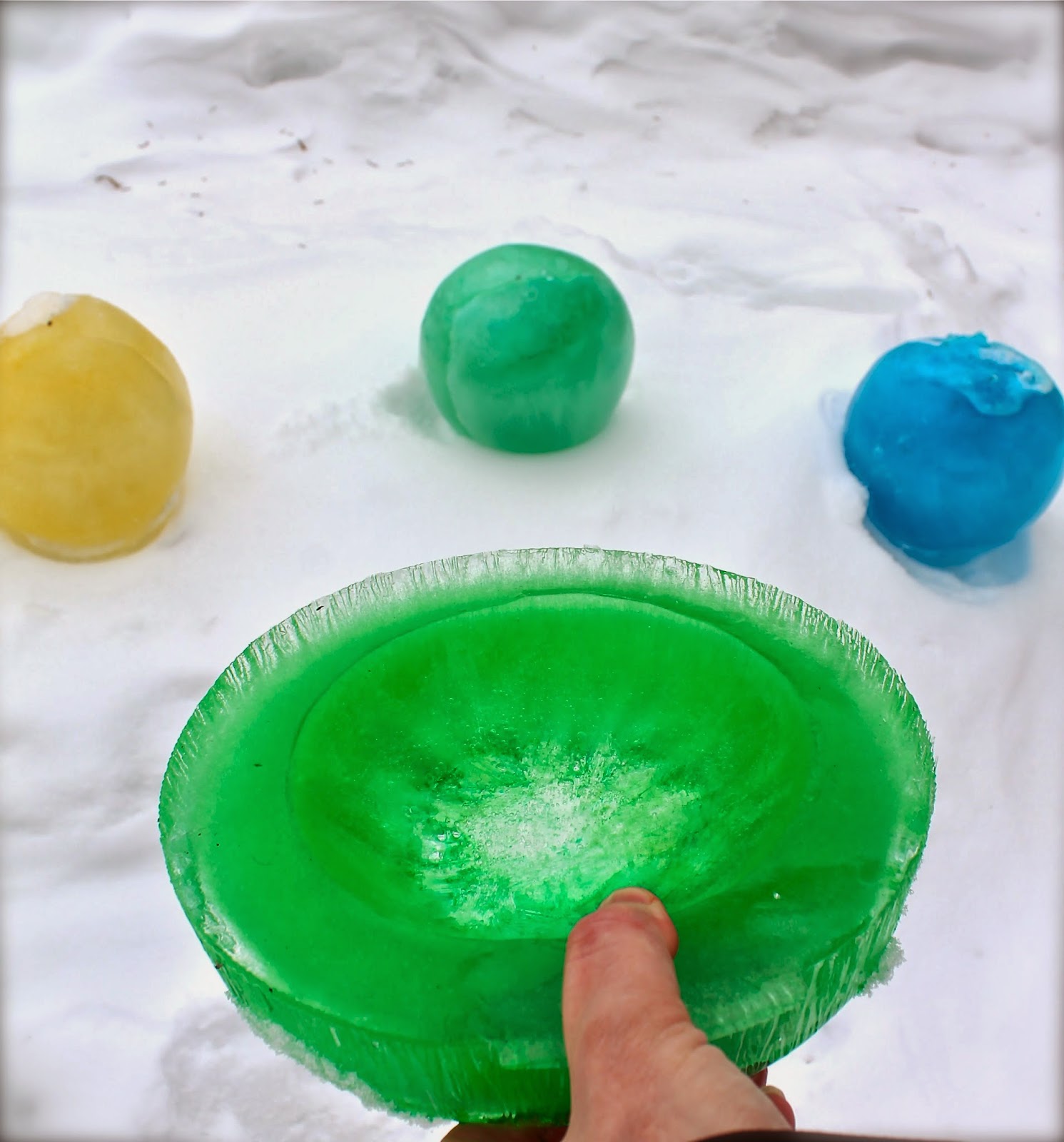 Twig and Toadstool: Feeding Our Feathered Friends: Rainbow Ice Bird Feeders