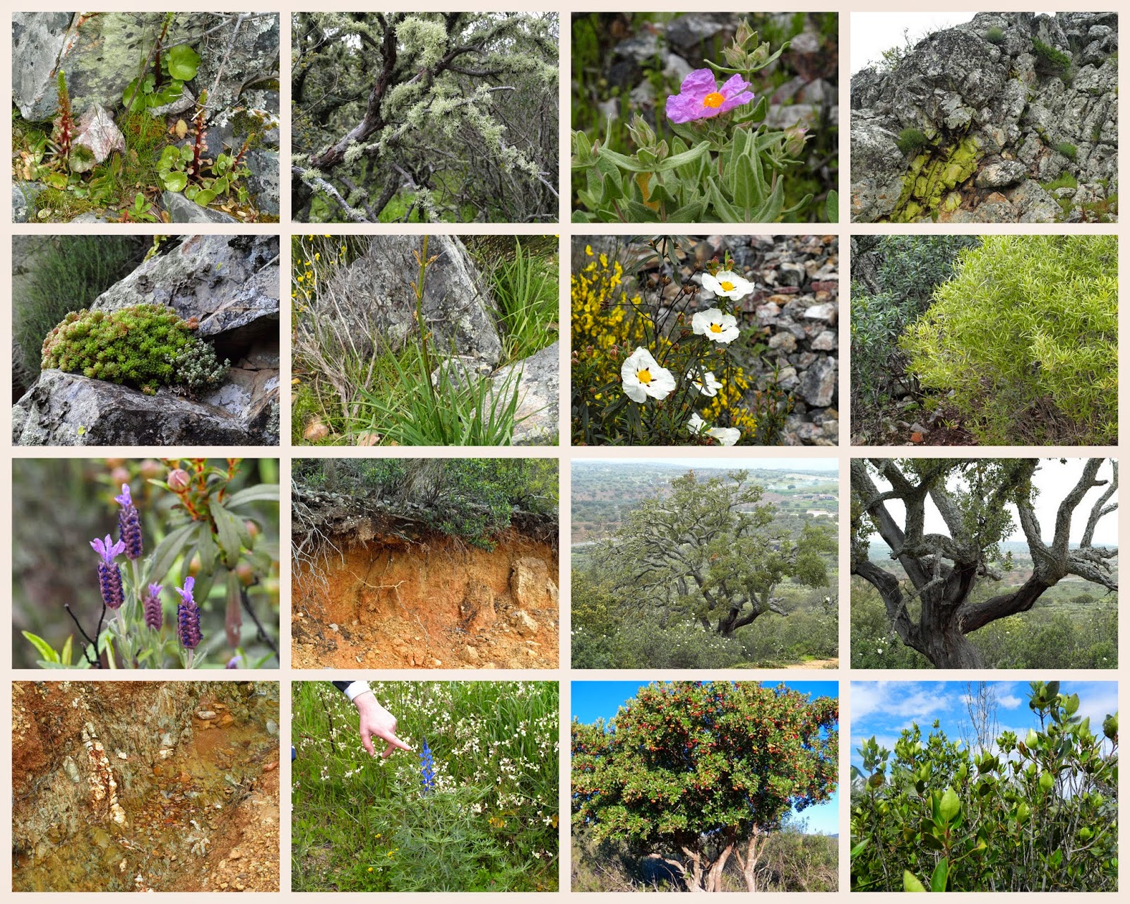 La Raya/A Raia en torno al Tajo/Tejo